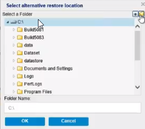 Define the Restore Options